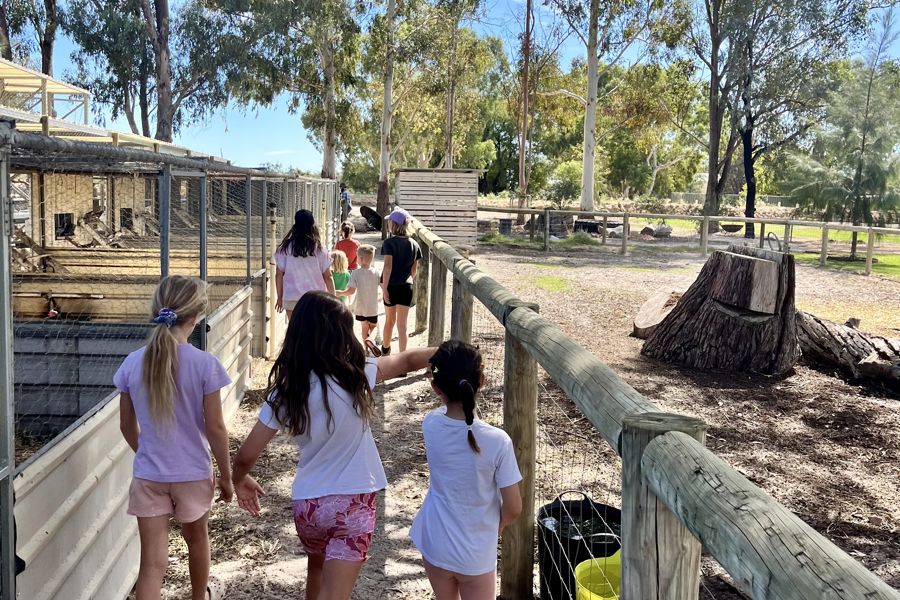 Animal Experience | 11 Acre Farm