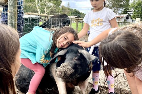 Animal Experience | 11 Acre Farm