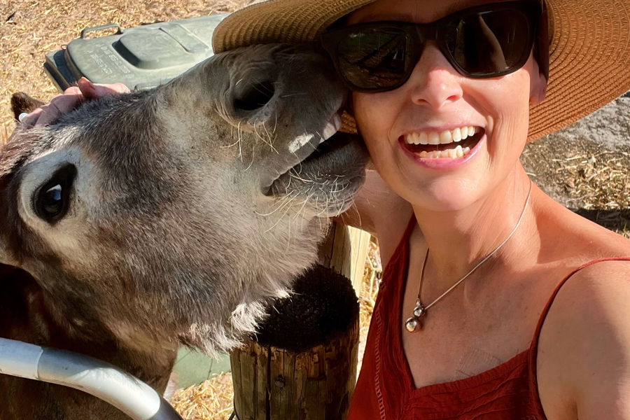 Animal Experience | 11 Acre Farm