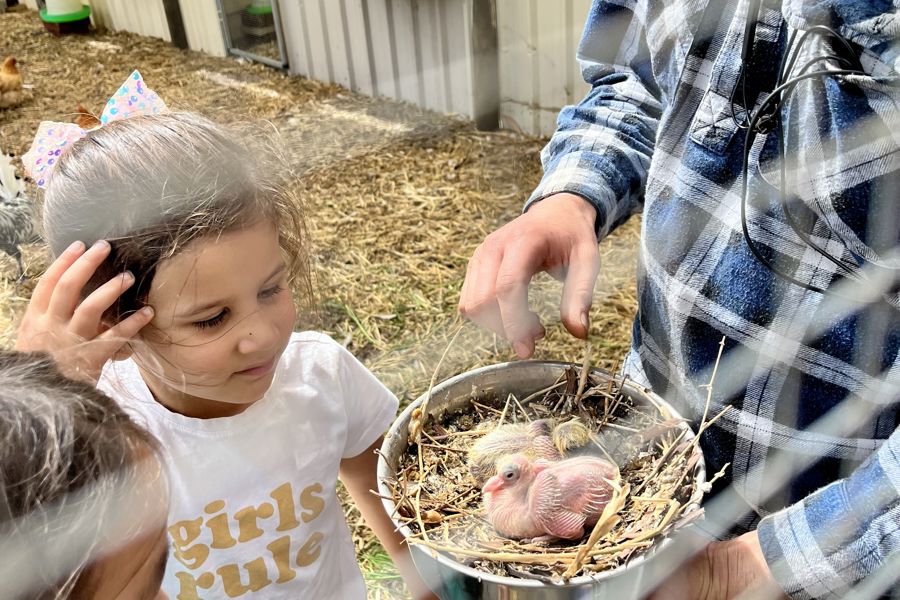 Animal Experience | 11 Acre Farm