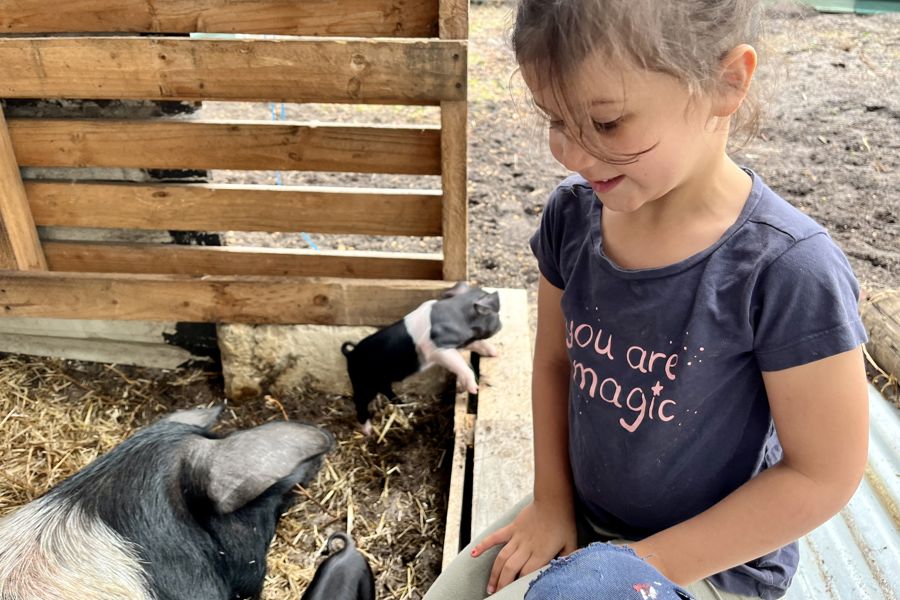 Animal Experience | 11 Acre Farm